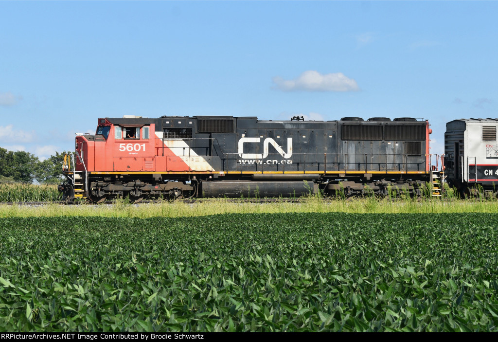 CN 5601